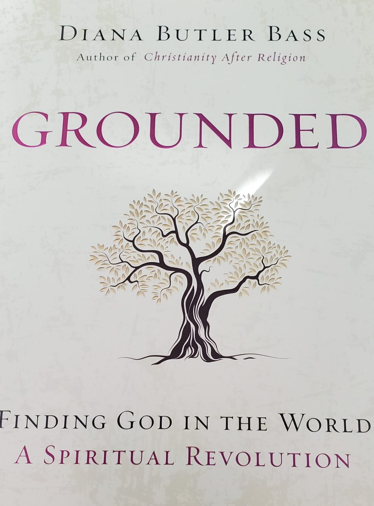 A Wise Woman and Bottle Trees – Philosophy for living today