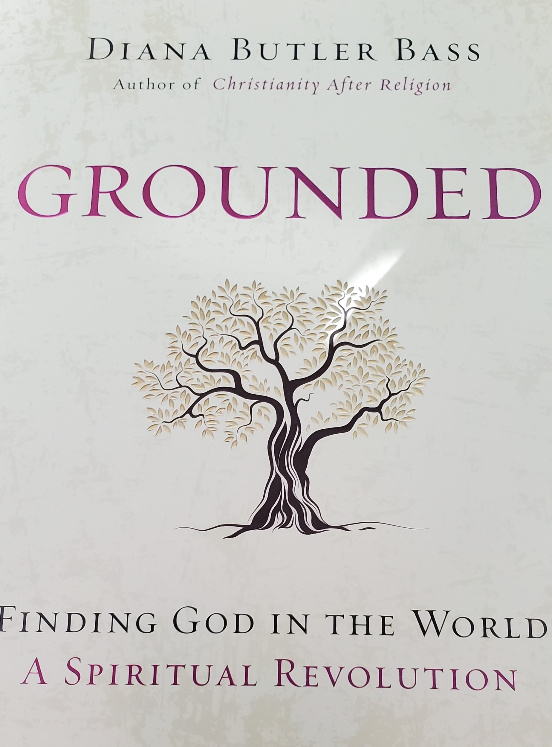 A Wise Woman and Bottle Trees – Philosophy for living today